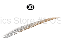 2008 Keystone Raptor Front Scene (B) - Tracks Decal - RV Graphics Store