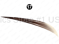 Fwd Upper Print Swoop